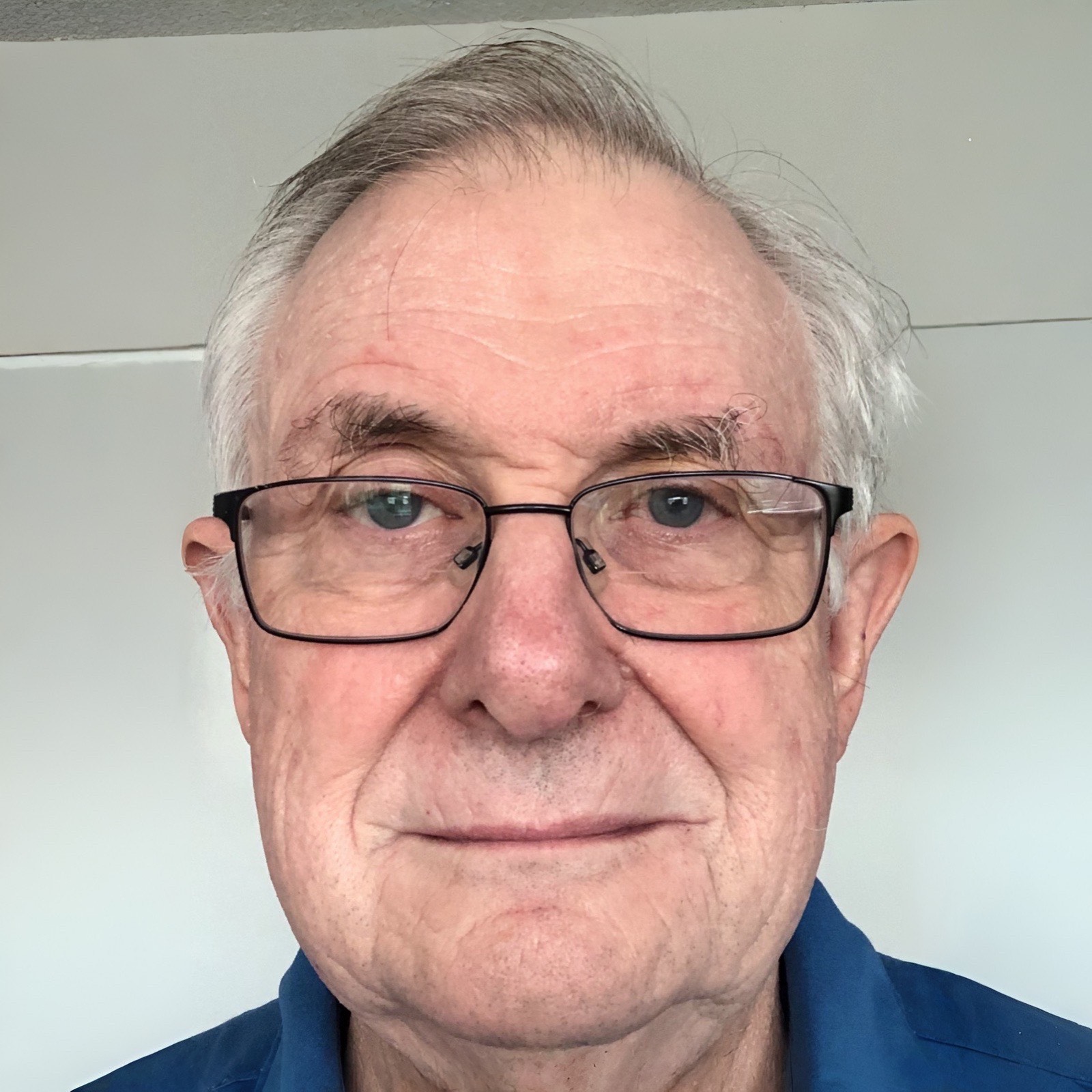 Lee Felsenstein - Gray Area